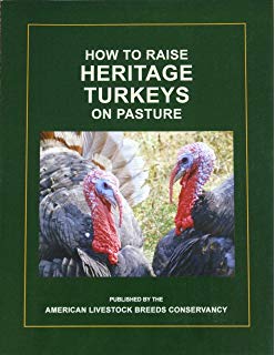Jersey Buff Turkey - The Livestock Conservancy