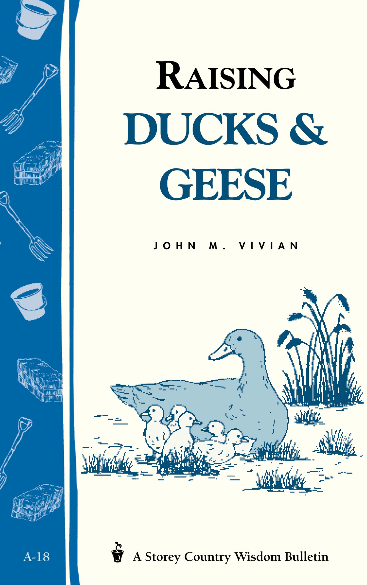 Runner or Indian Runner Duck - The Livestock Conservancy