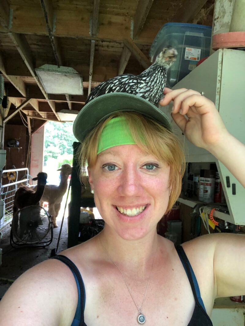 March 2023 Cubalaya Chicken Membership Promotion - The Livestock ...