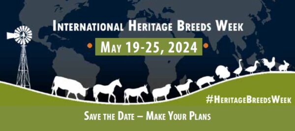 A Brief History of Goat Domestication - The Livestock Conservancy