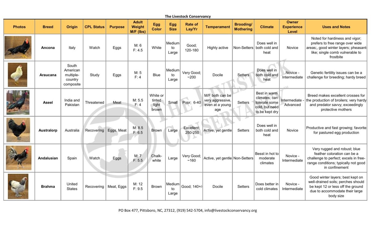 Heritage Breed Chickens Chart - The Livestock Conservancy
